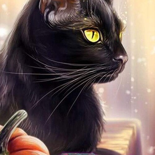 5D DIY My Diamond Art black Cat and Pumpkin Diamond Painting - Etsy