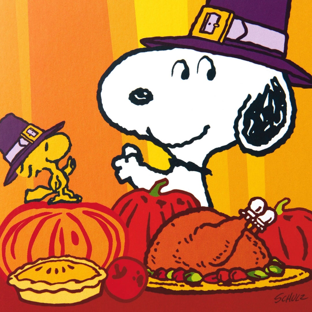 5D DIY My Diamond Art (snoopy Thanksgiving) Diamond Painting Kit (NEW ...