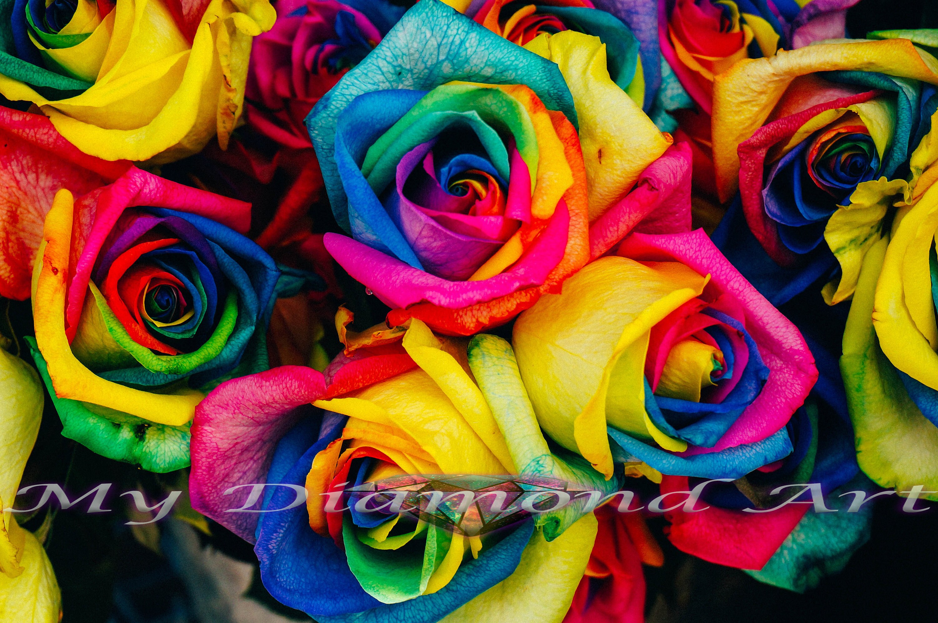 5D DIY My Diamond Art colorful Roses Diamond Painting Kit - Etsy