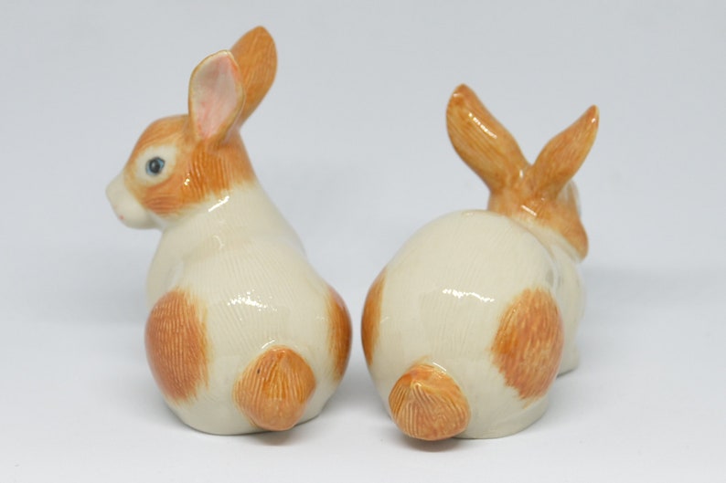 Rabbit Salt and Pepper Shakers Set Ceramic Figurine Unique More Detail ...
