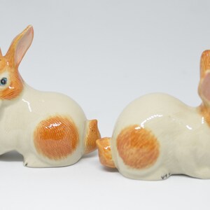 Rabbit Salt and Pepper Shakers Set Ceramic Figurine Unique More Detail ...