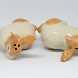 Rabbit Salt and Pepper Shakers Set Ceramic Figurine Unique More Detail ...