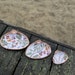 Trio of Upcycled Clamshells set of Three - Etsy