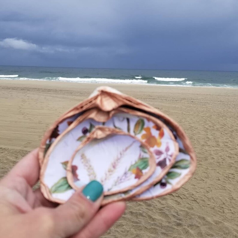 Trio of Upcycled Clamshells set of Three - Etsy