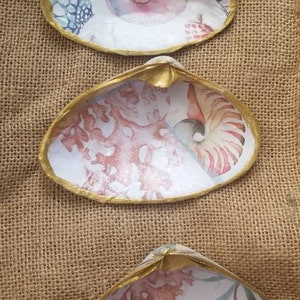Trio of Upcycled Clamshells set of three | Etsy