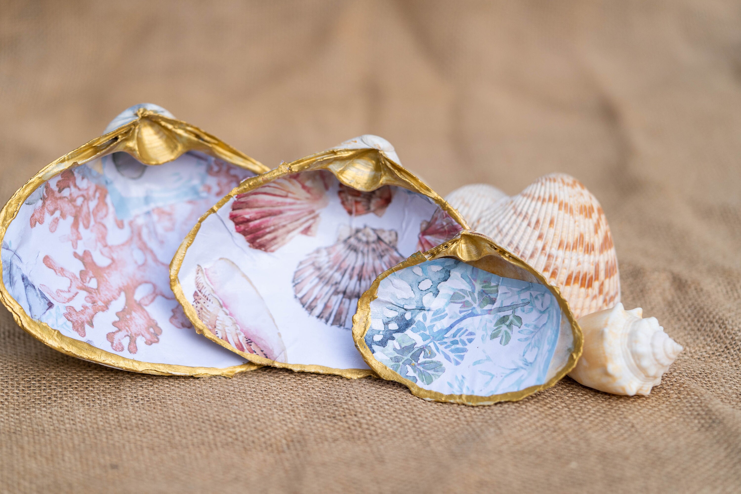 Trio of Upcycled Clamshells set of Three - Etsy
