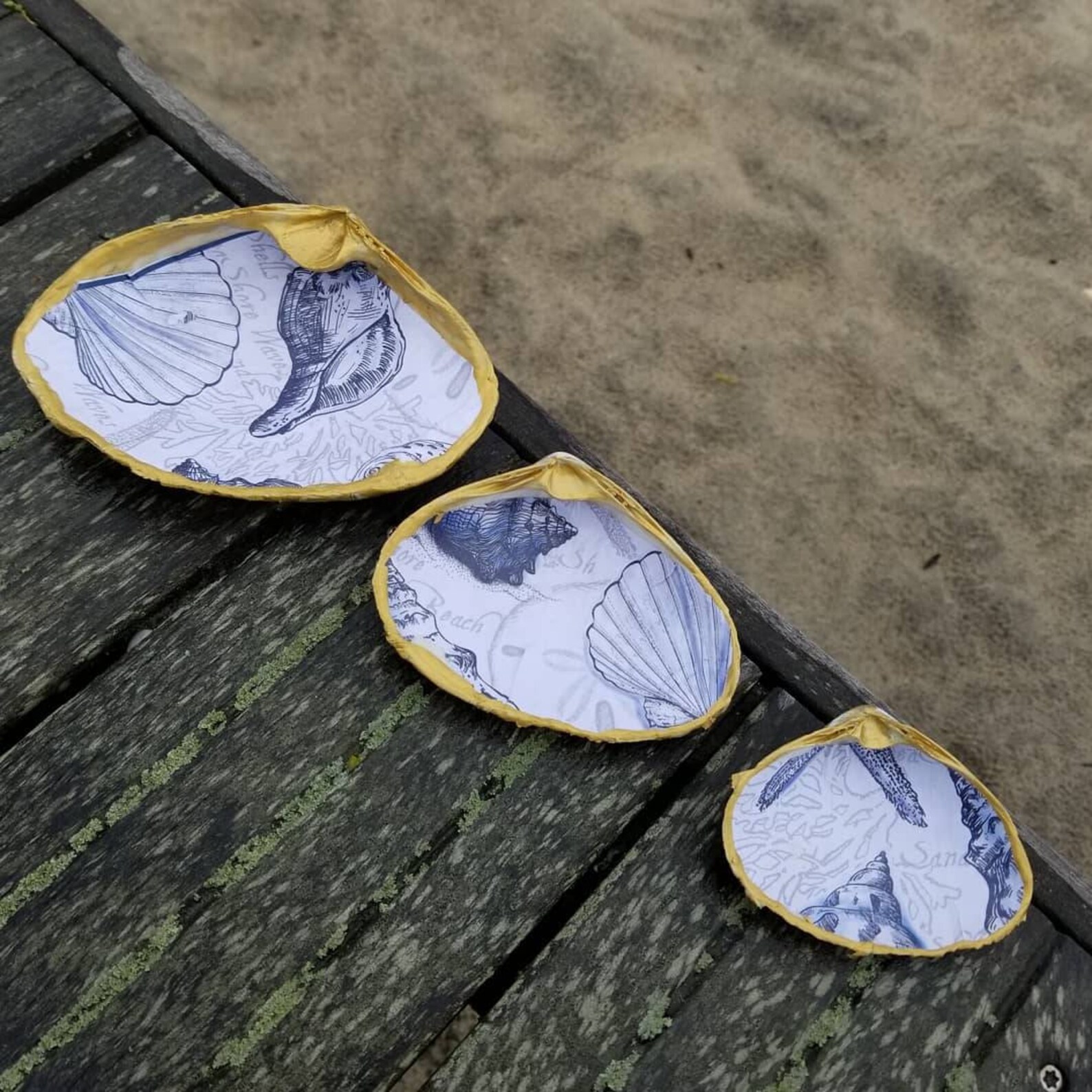 Trio of Upcycled Clamshells set of Three - Etsy