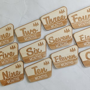 Baby Monthly Milestone Markers, Wood Milestone Disc, Baby Photo Props ...