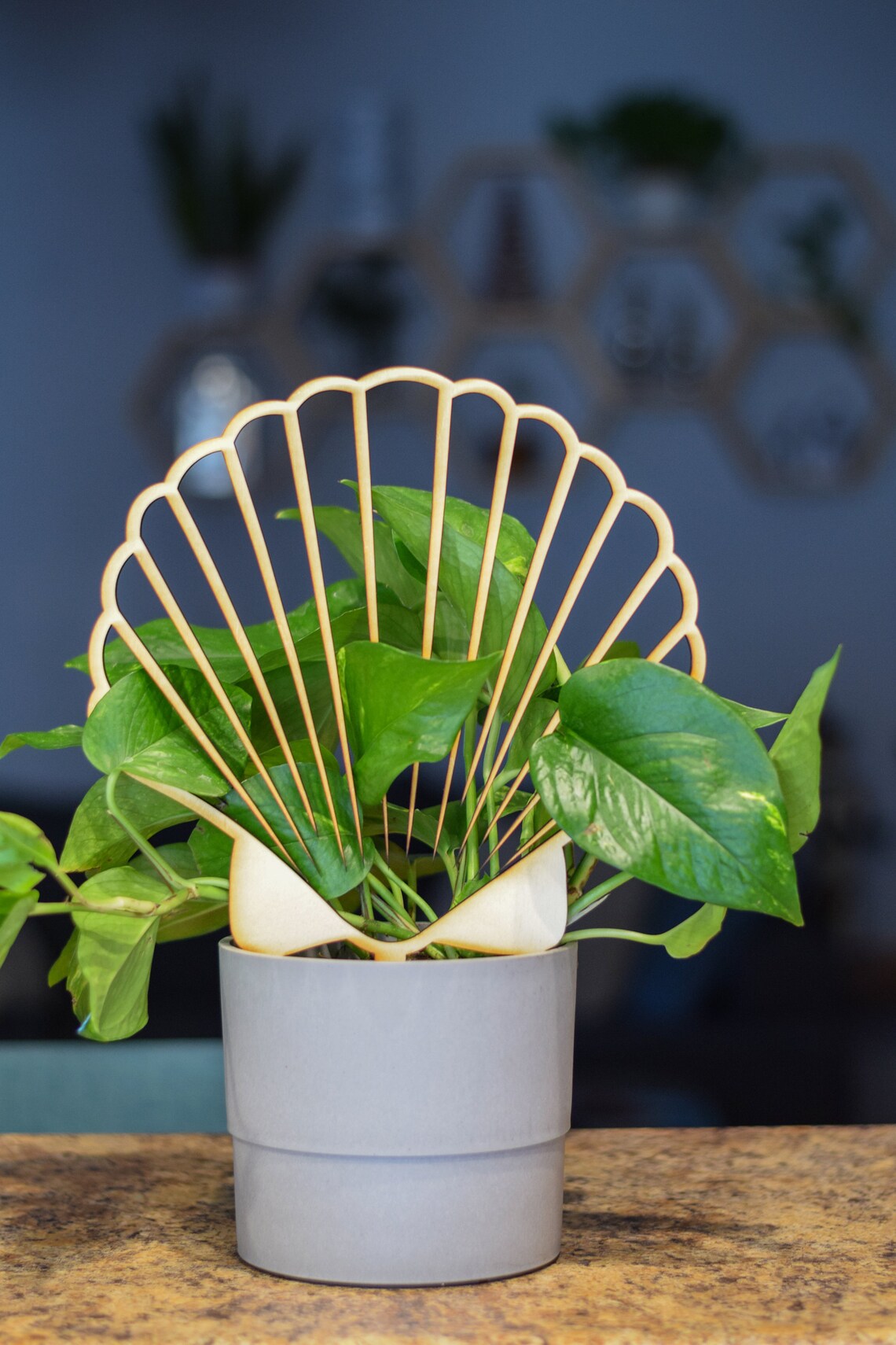 Seashell Trellis, Plant Pot Trellis, Plant Lover, Vining Plant Holder ...