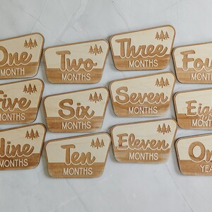 Baby Monthly Milestone Markers, Wood Milestone Disc, Baby Photo Props ...