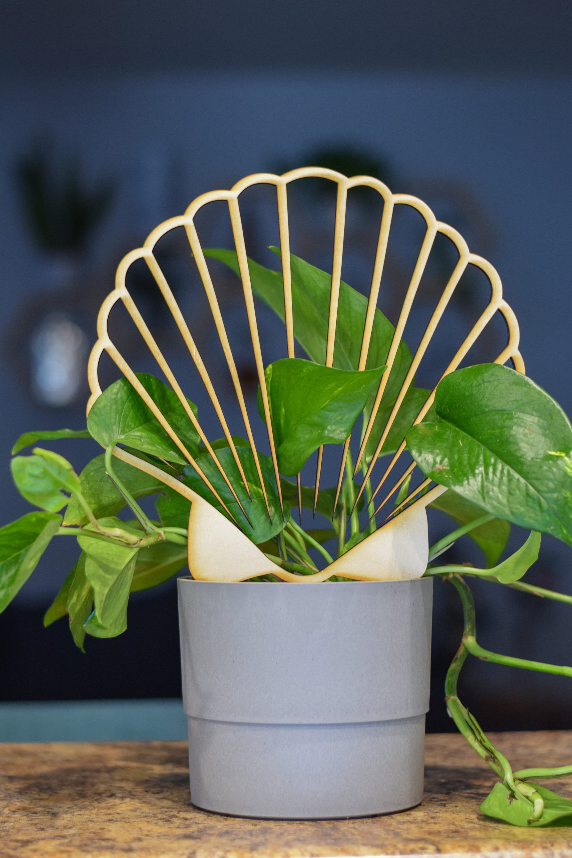 Seashell Trellis, Plant Pot Trellis, Plant Lover, Vining Plant Holder ...