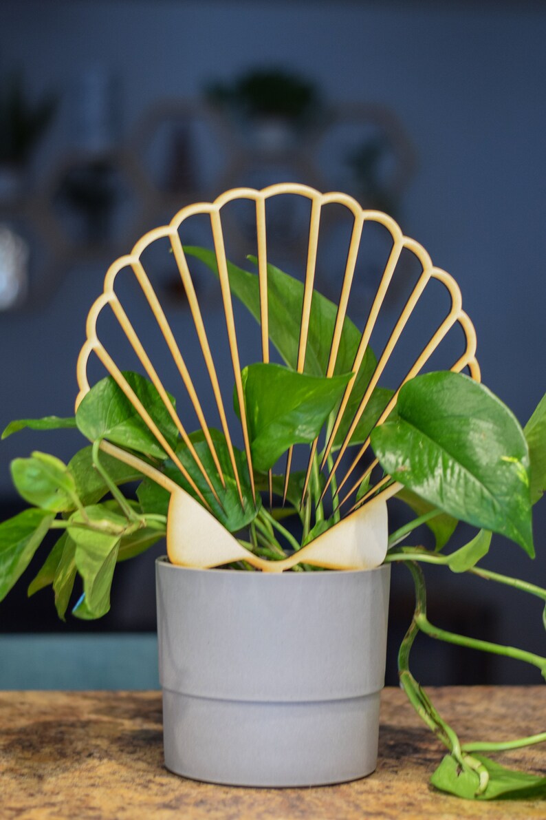 Seashell Trellis, Plant Pot Trellis, Plant Lover, Vining Plant Holder ...