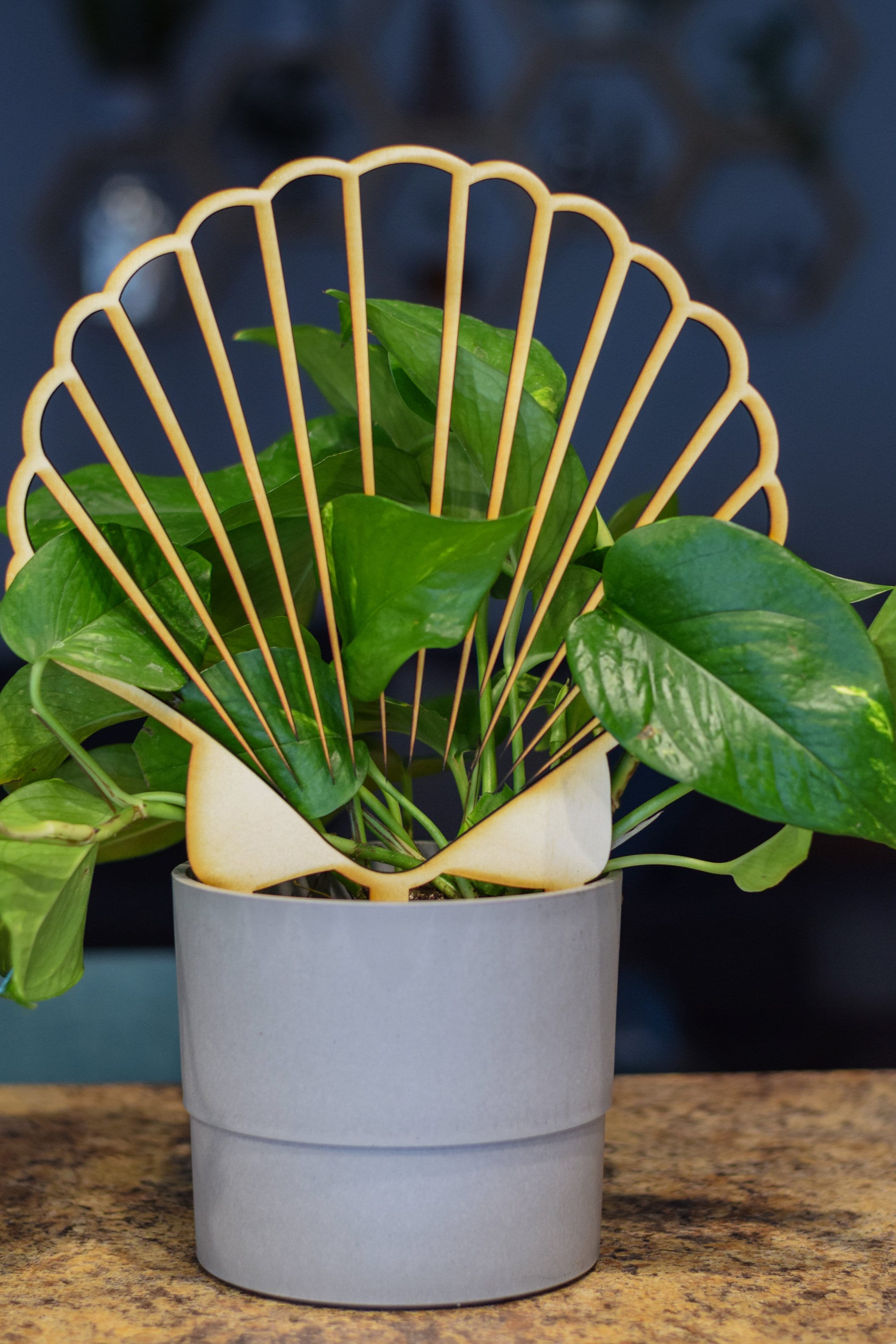 Seashell Trellis, Plant Pot Trellis, Plant Lover, Vining Plant Holder ...