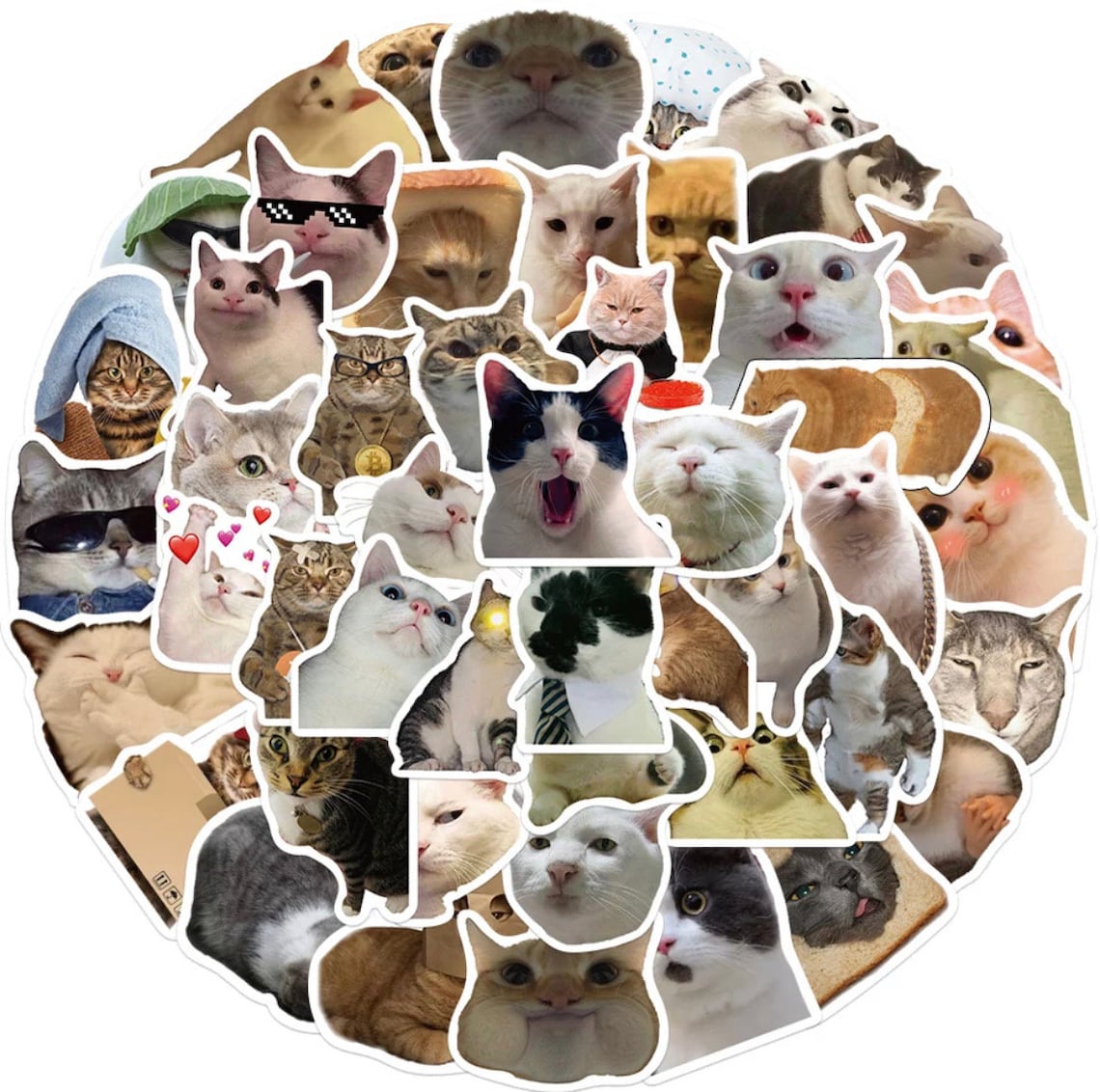 15 Cat Memes Sticker Pack - Etsy