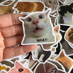 15 Cat Memes Sticker Pack - Etsy