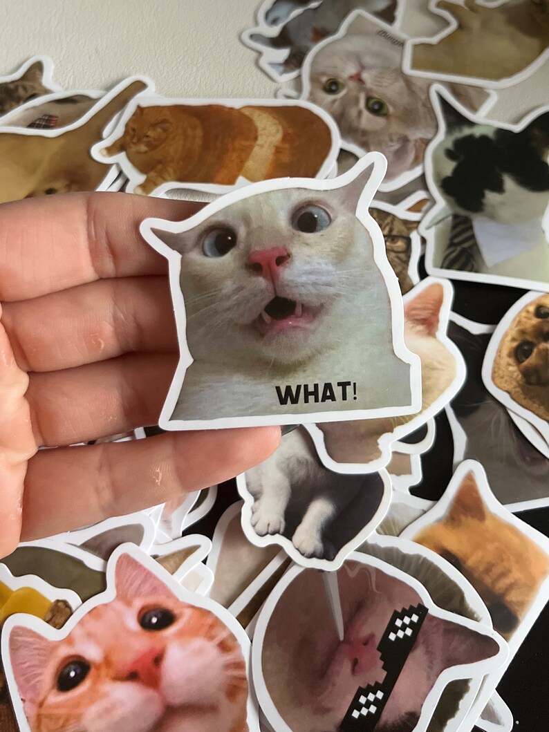 15 Cat Memes Sticker Pack - Etsy