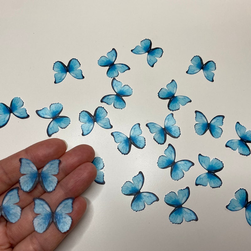 Edible Butterflies - Etsy