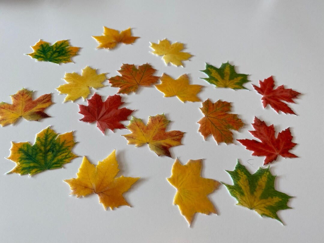 Autumn Maple Edible Leaves - Pre-cut Wafer Paper Toppers for Fall ...