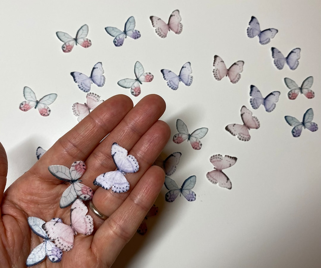 Edible Wafer Butterflies: Pink & Purple Cake Decorations - Etsy