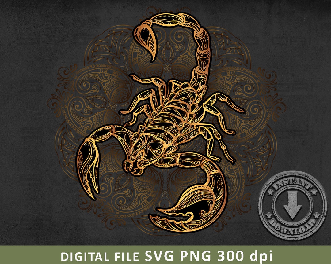 Pattern With Scorpion Ai Svg Png | DTG Printing | Instant Download | T ...