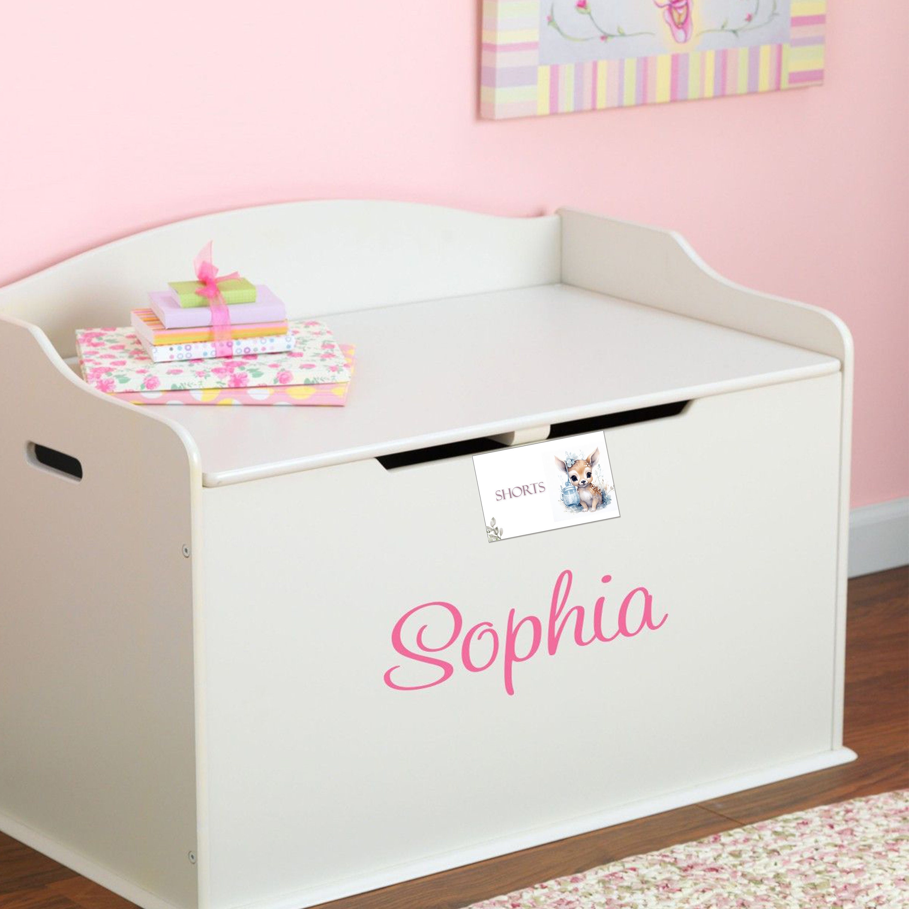 Editable Nursery Baby Drawer Labels. Printable Kid Closet - Etsy