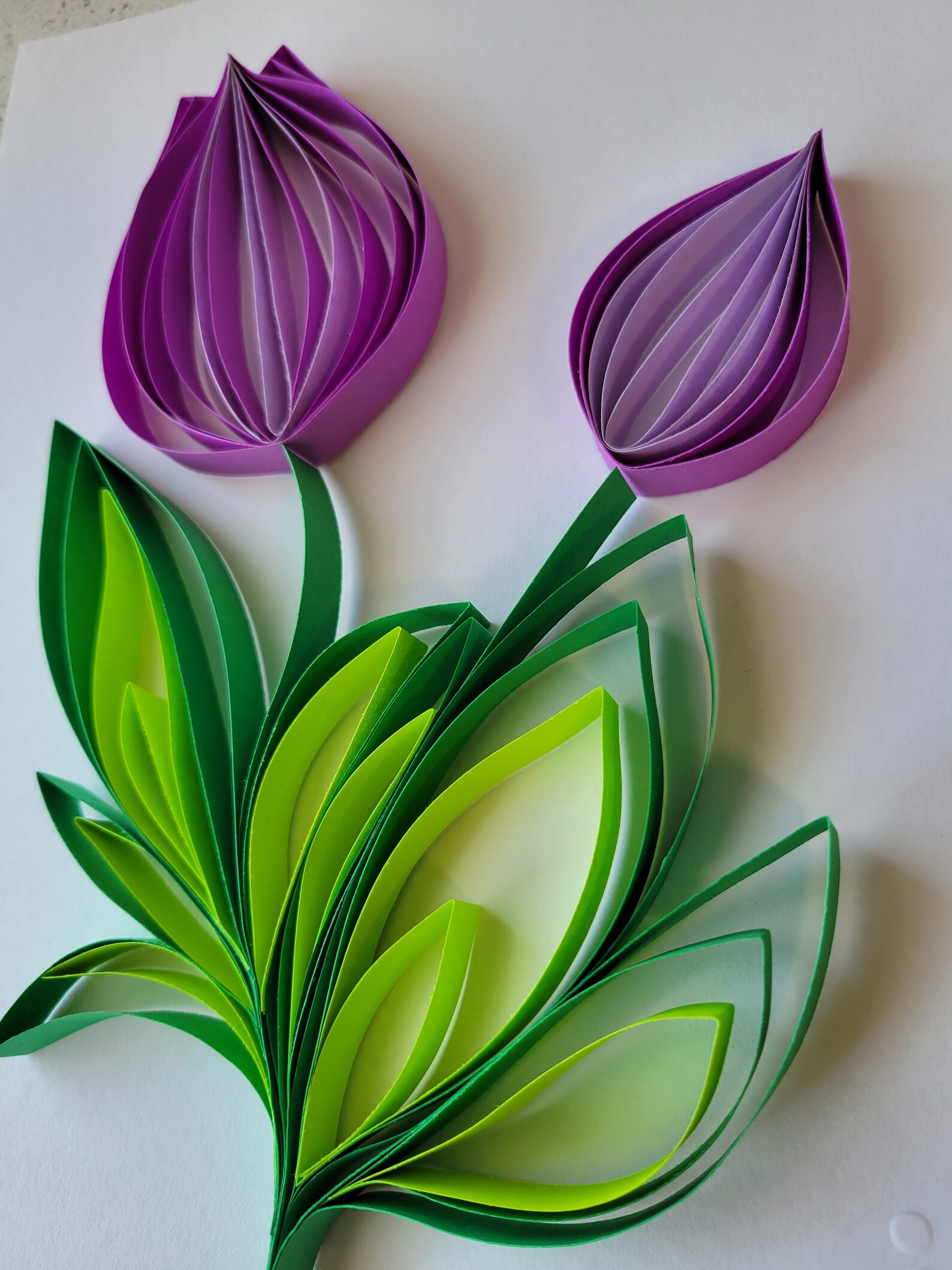 Tulip, Flowers, Quilling Art, Paper Art, Decor Frame, Decor Box, Framed ...