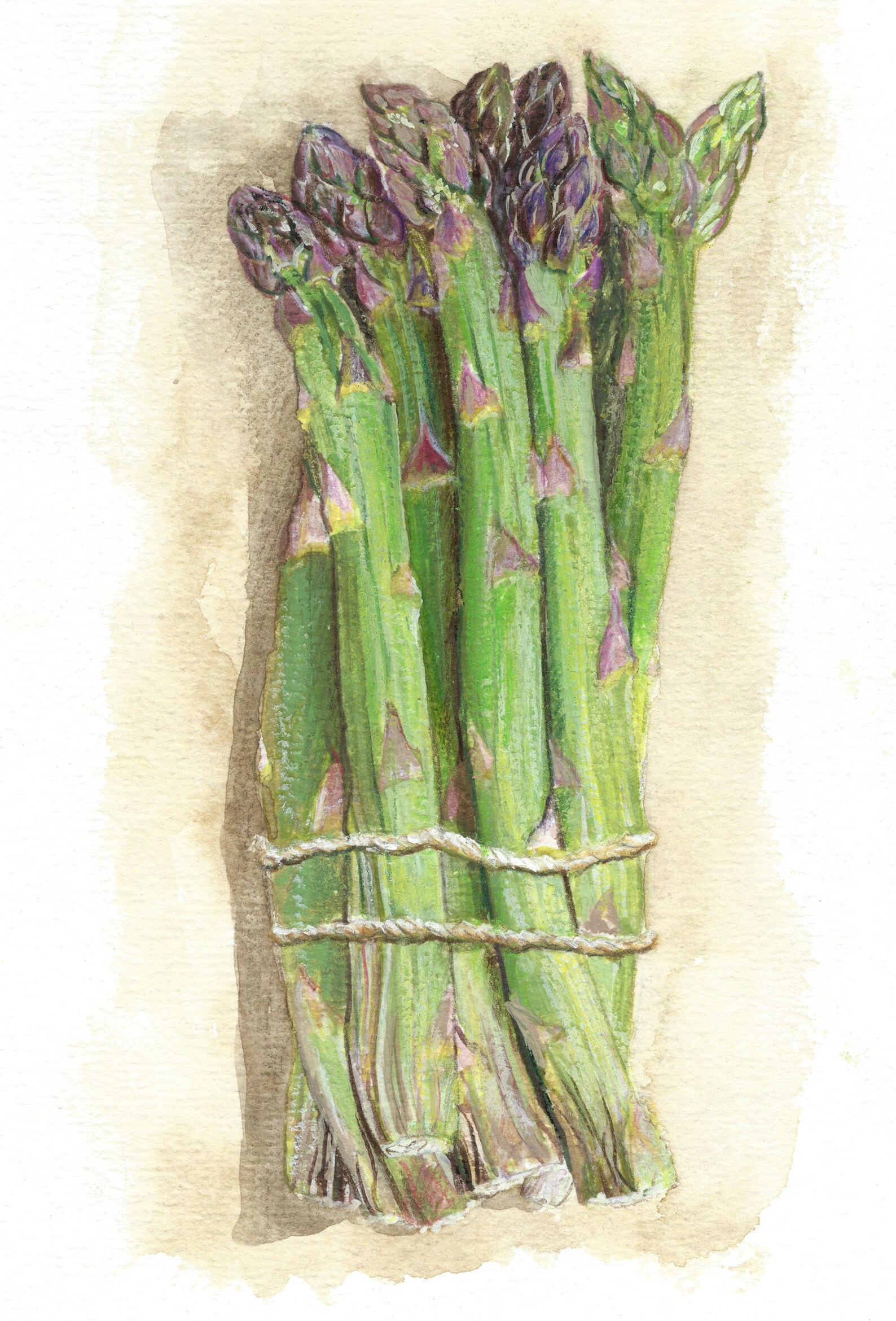 Asparagus Print | Original Painting Print | Asparagus Painting ...