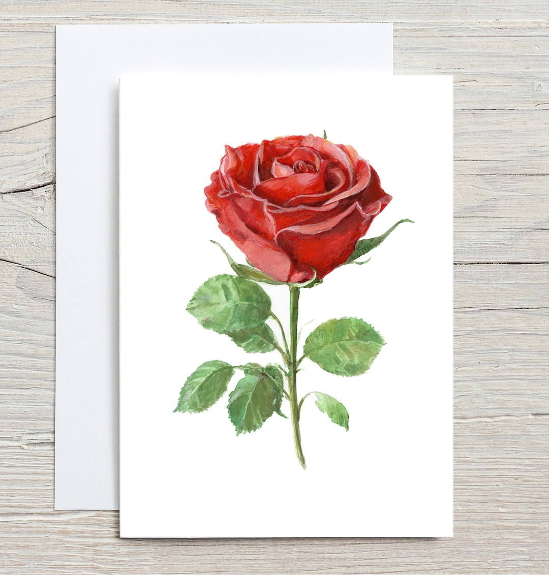 Single Red Rose Card, Love Card, Anniversary Card, Valentine Card, Red ...