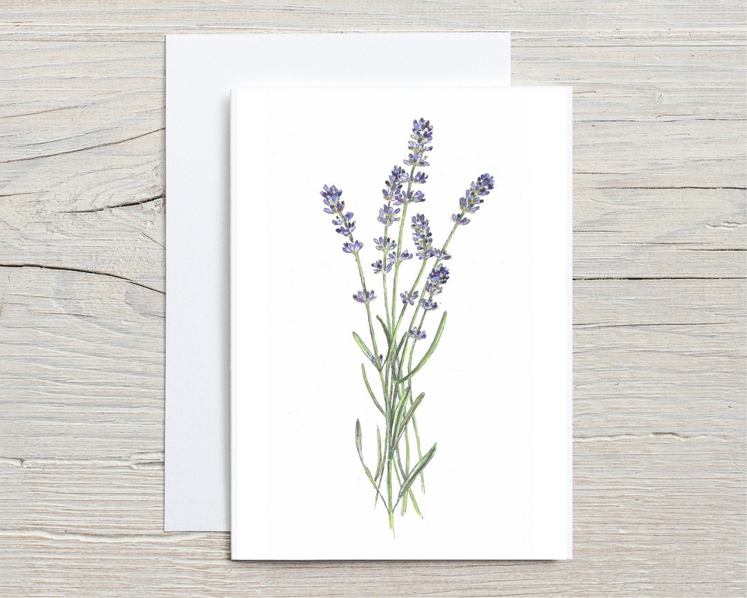Lavender Card, Greetings Card, Flower Card, Birthday Card, Sympathy ...