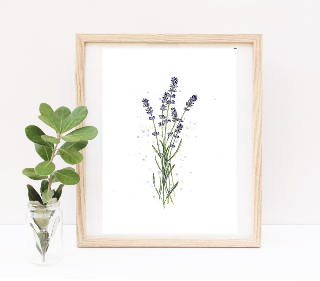 Lavender Print, Art Print of Lavender, Lavender Stalks, Print of ...