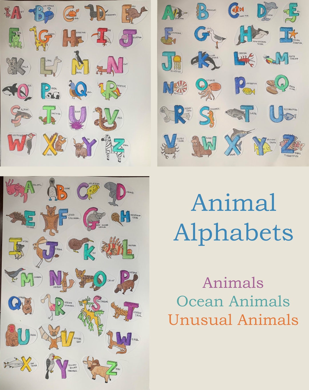 Animal Alphabet Poster - Etsy