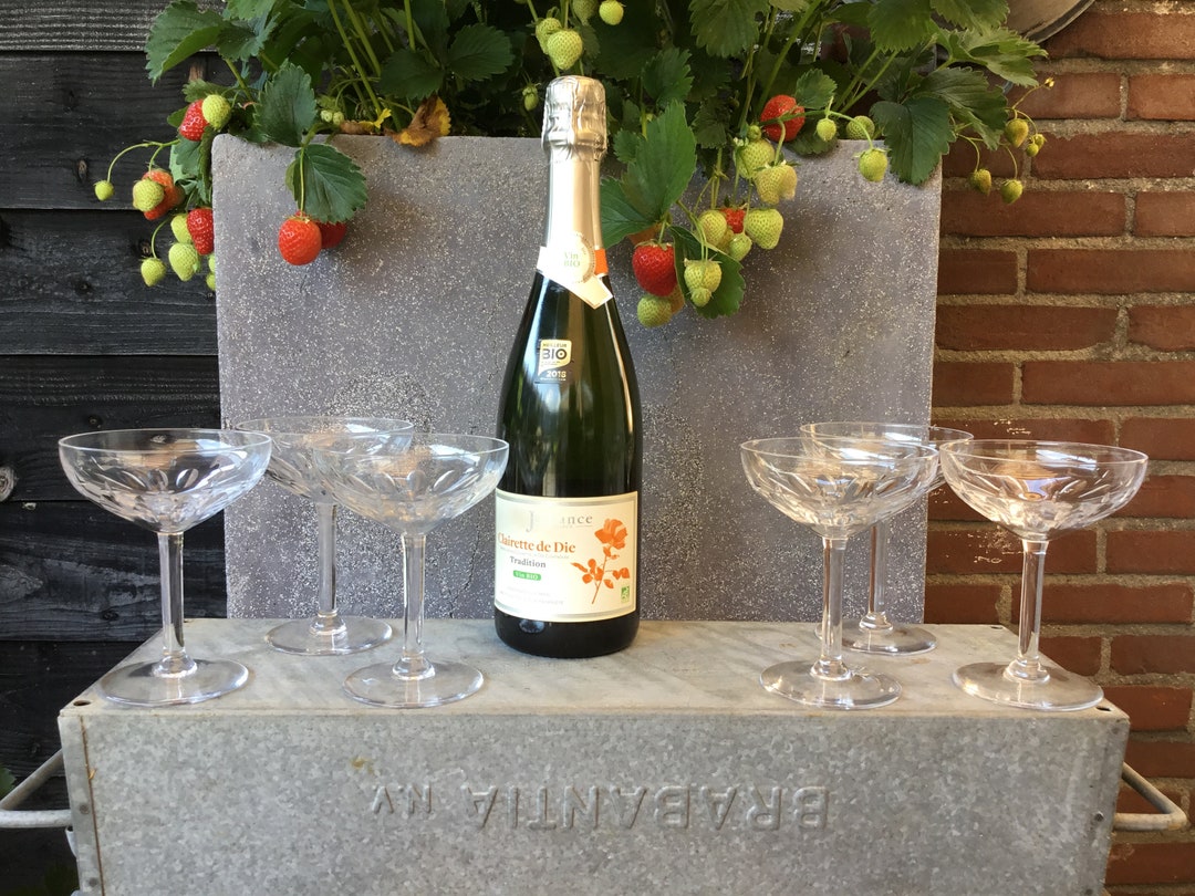 Crystal Champagne Coupes With Cut Almond/star Motif, Ca.1940/1950 ...