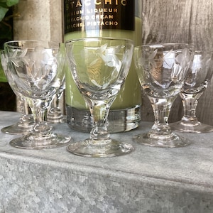 Set of Liqueur Glasses With Elegant Cut Flower Motif - Vintage Liqueur ...