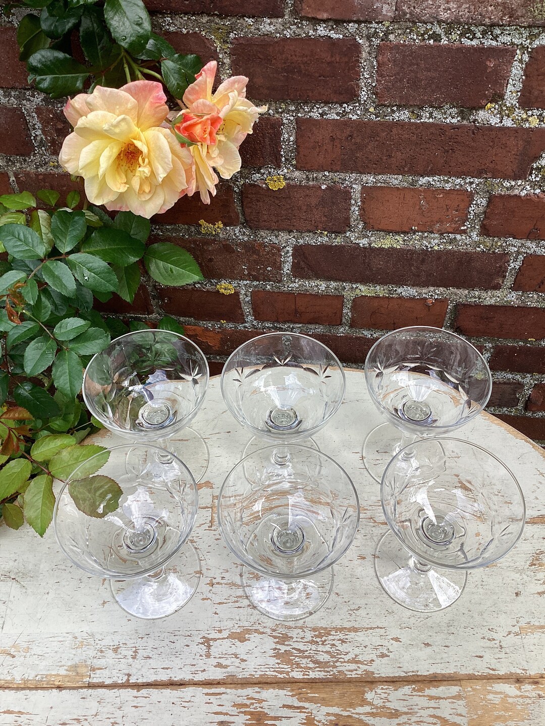 Polished Champagne Coupes Beautiful Set of 6 Champagne Coupes Made in ...