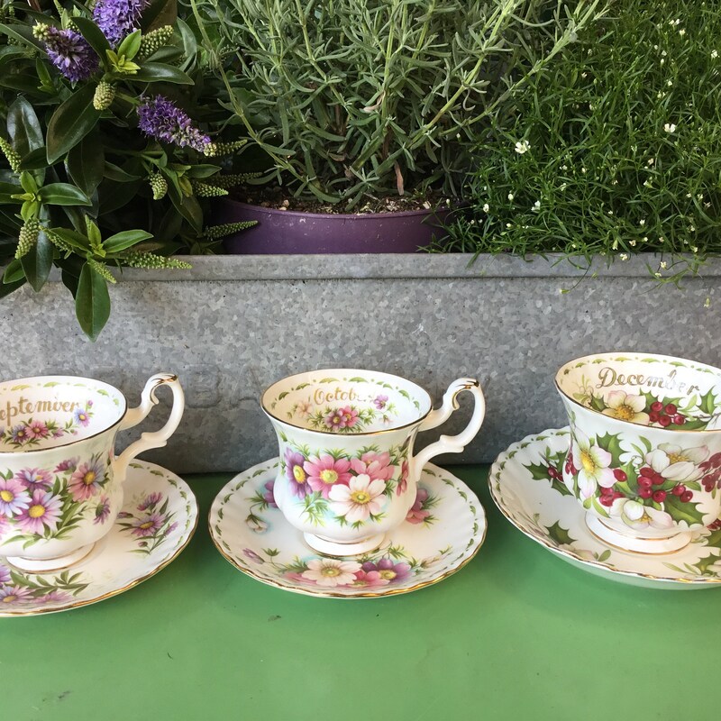 January Tea Cup - Etsy