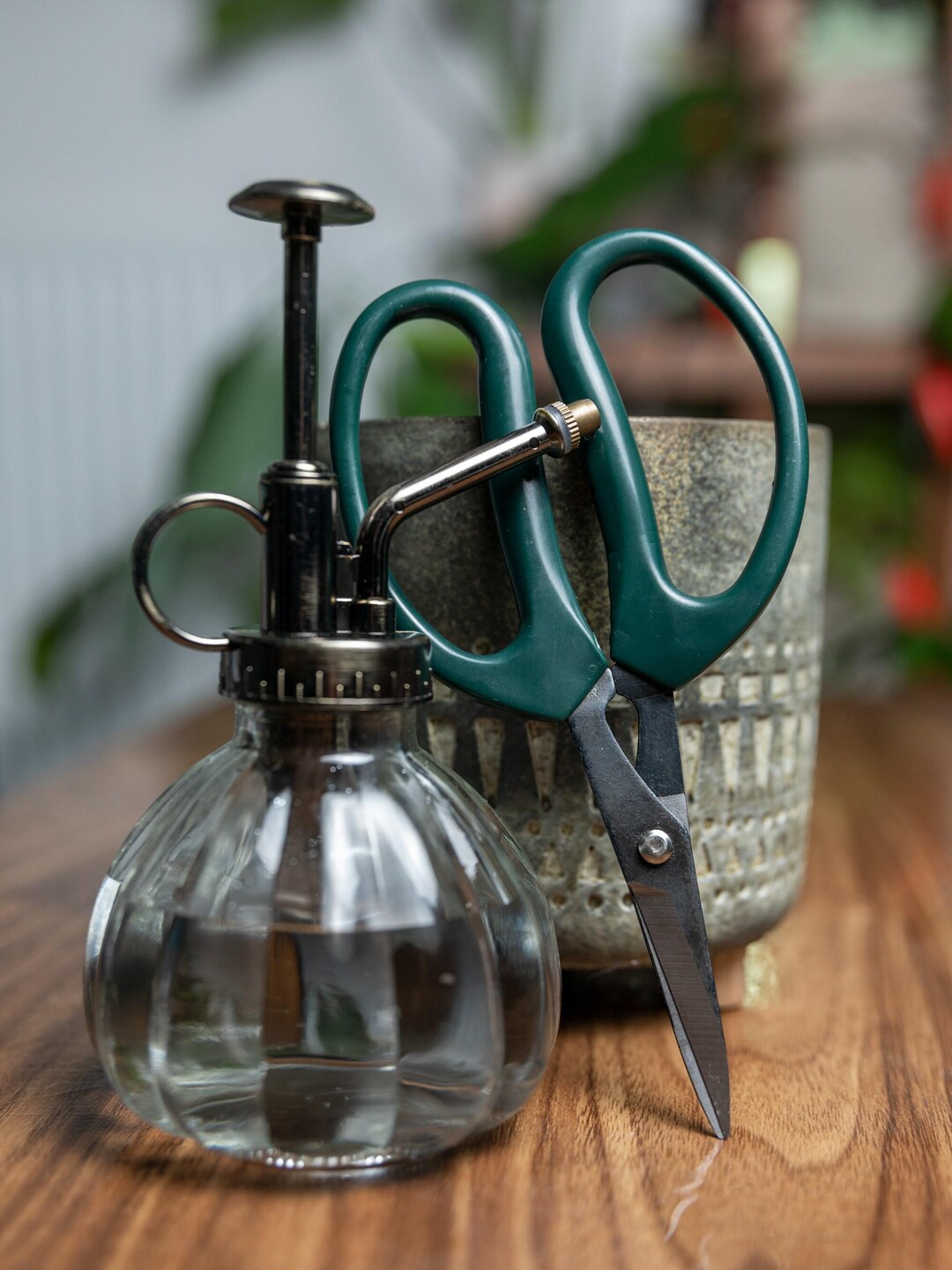 Clear Glass Plant Mister & Scissors Gift Set - Etsy