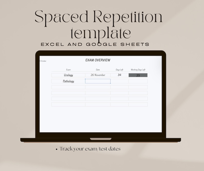 Spaced Repetition Google Sheets Minimalistic Template - Etsy