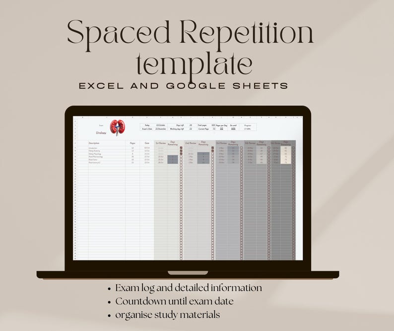 Spaced Repetition Google Sheets Minimalistic Template - Etsy