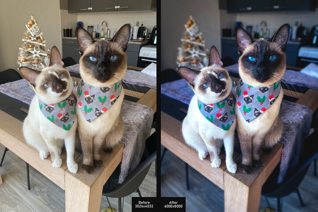 Photo Retouch / Object Removal / Photo Recovery / Professional - Etsy