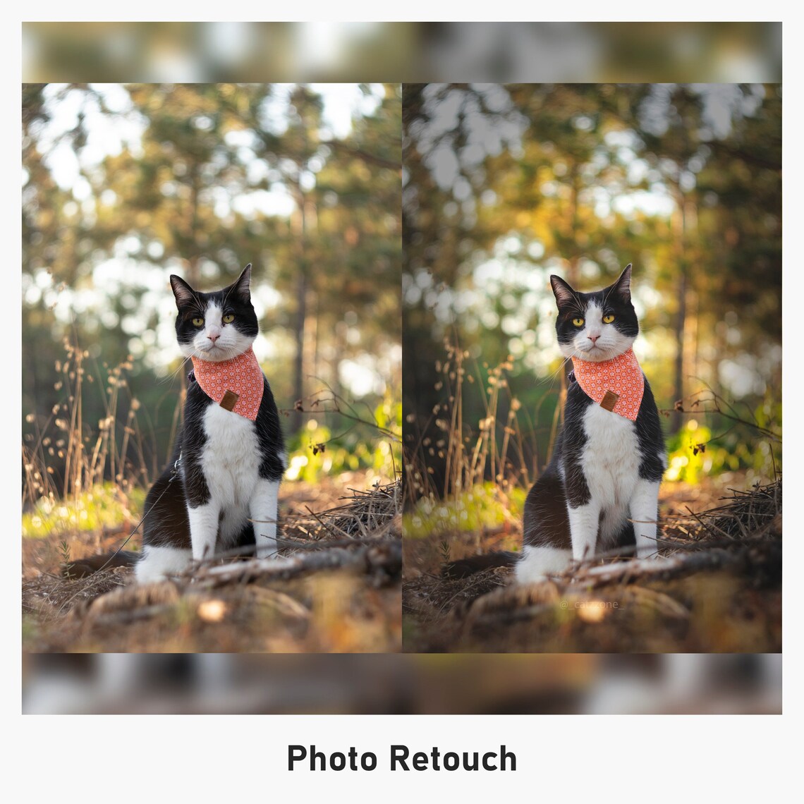 Photo Retouch / Object Removal / Photo Recovery / Professional Camera ...