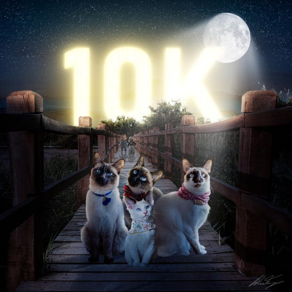 Photoshop Birthday Dogs