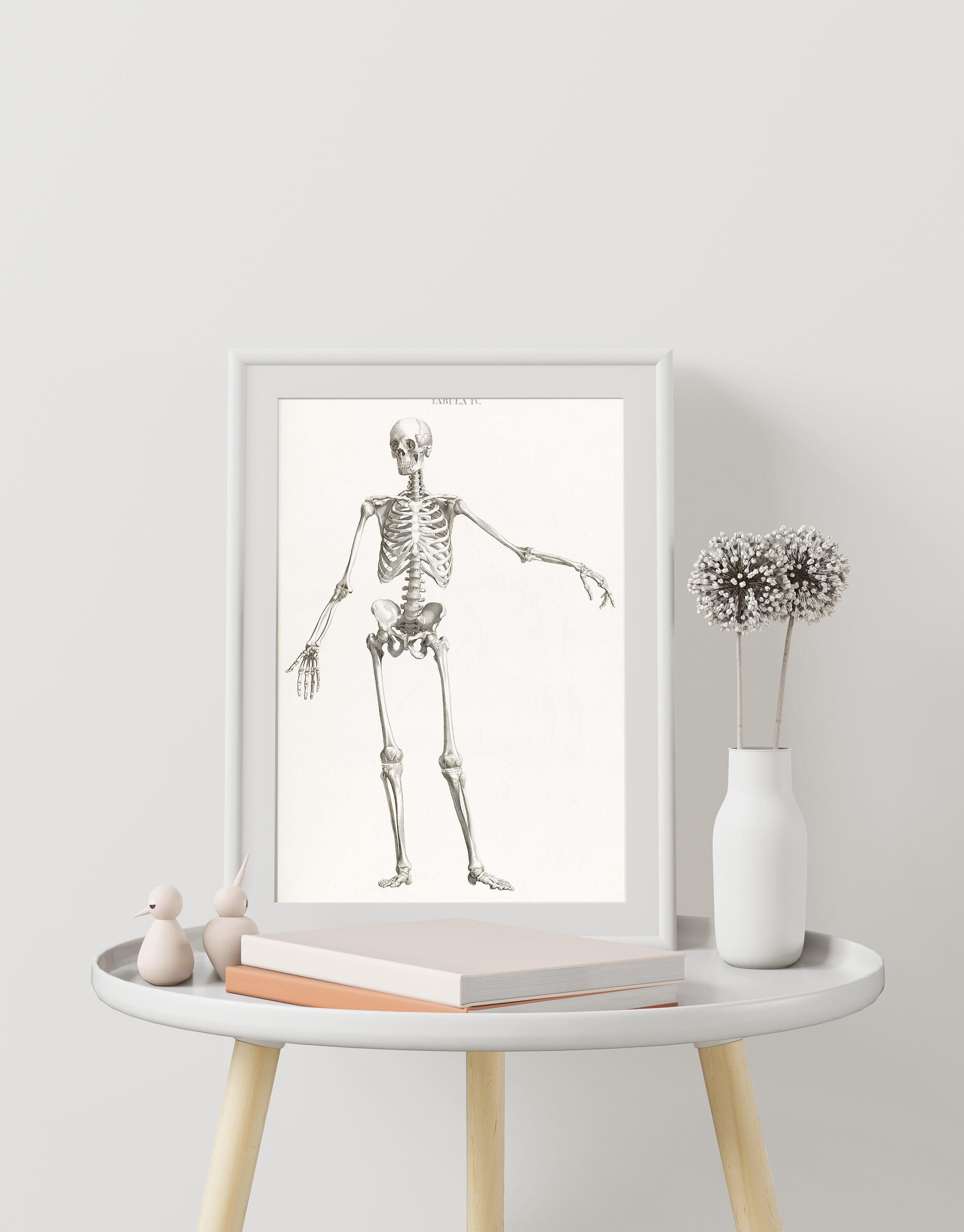 Vintage Human Skeleton Anatomy Art Print Dark academia print | Etsy