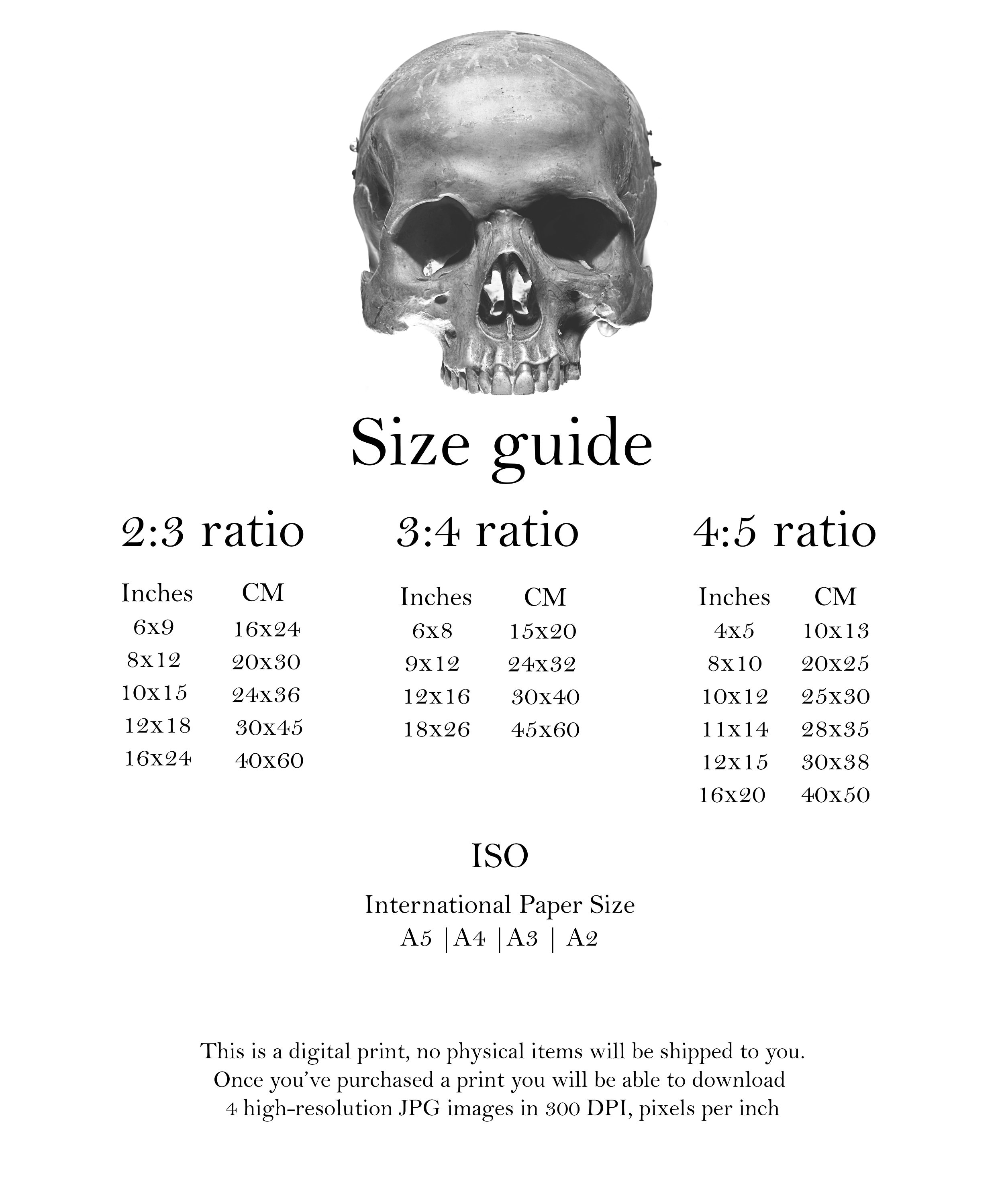 C. A. Gilbert All is Vanity Poster Vanitas Skull Memento - Etsy