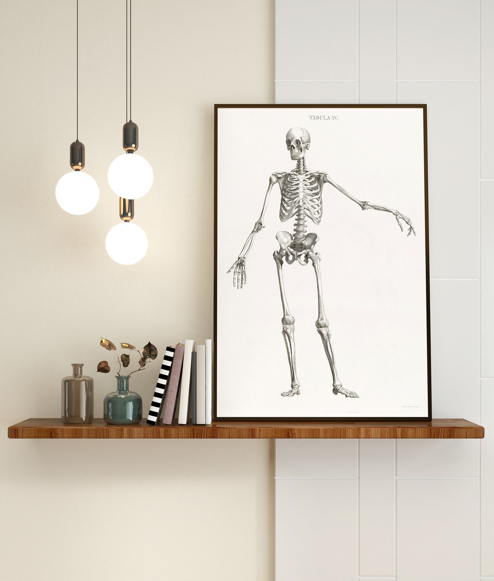 Vintage Human Skeleton Anatomy Art Print Dark Academia Print - Etsy