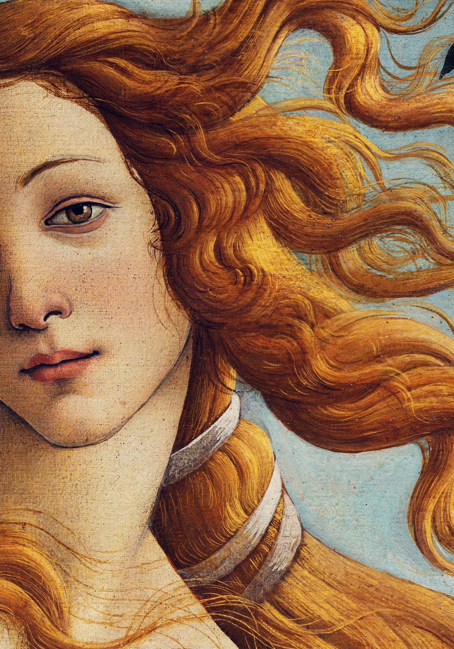 Botticelli Birth of Venus Detail Art Print Printable - Etsy