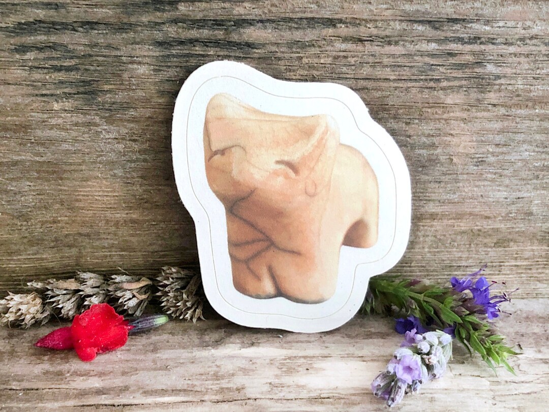 Kitsune Fox Kami Guardian Nature Spirit Sticker Recycled Paper, Plastic ...