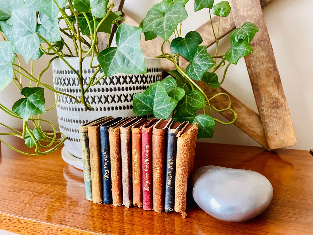 Early 1900s Set of 10 Shakespeare’s Works Leather Bound Miniature Books ...