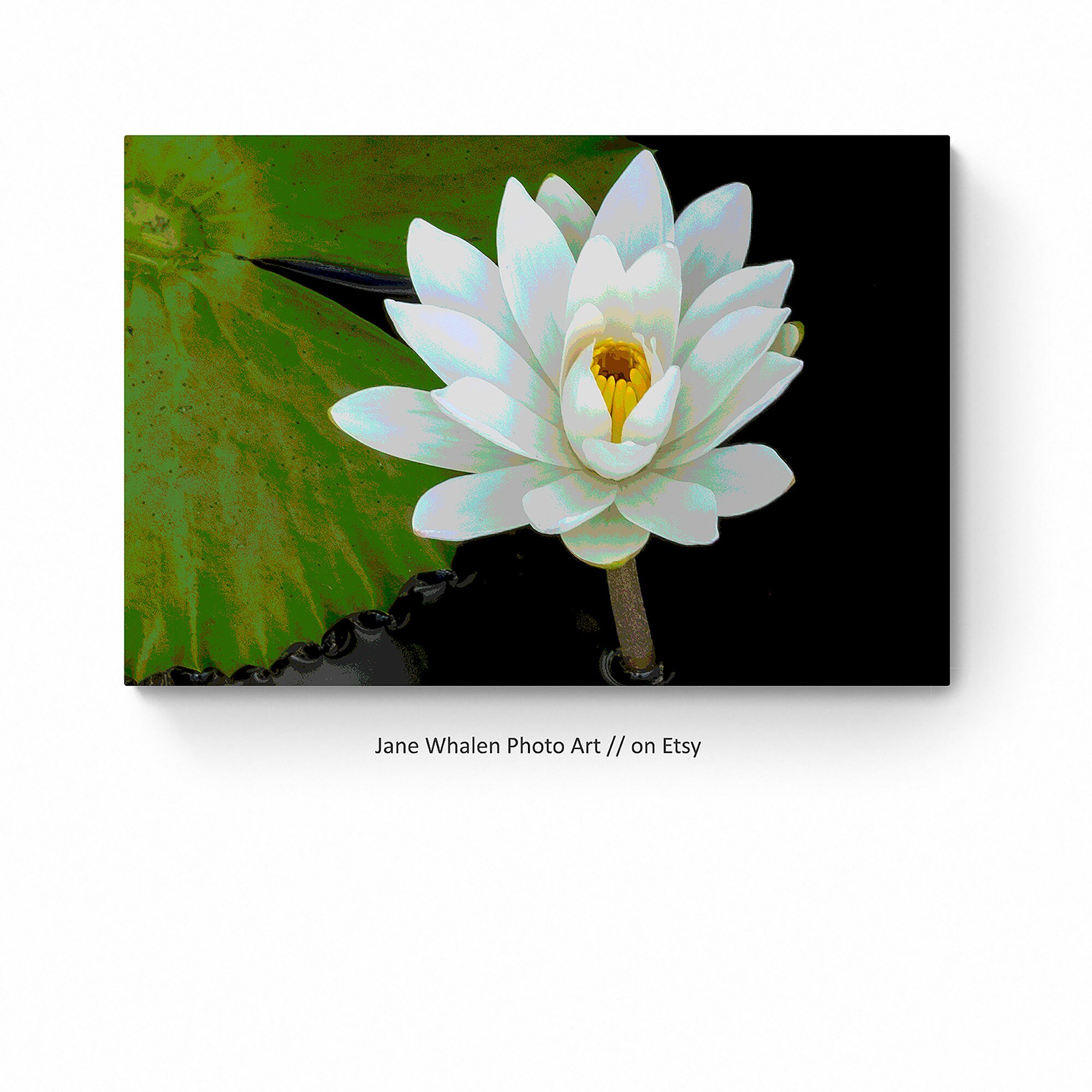 Printable Lotus Flower Digital Wall Art, Tropical Art Design, Digital ...