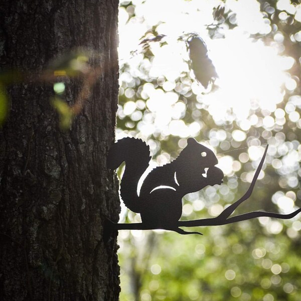 Metal Squirrel - Etsy