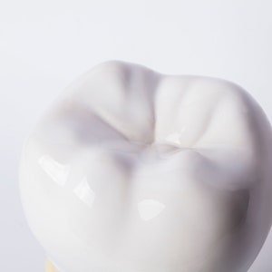 A Hand - Crafted Ceramic Fun Tooth - Human Figure, Gift for a Dentist ...
